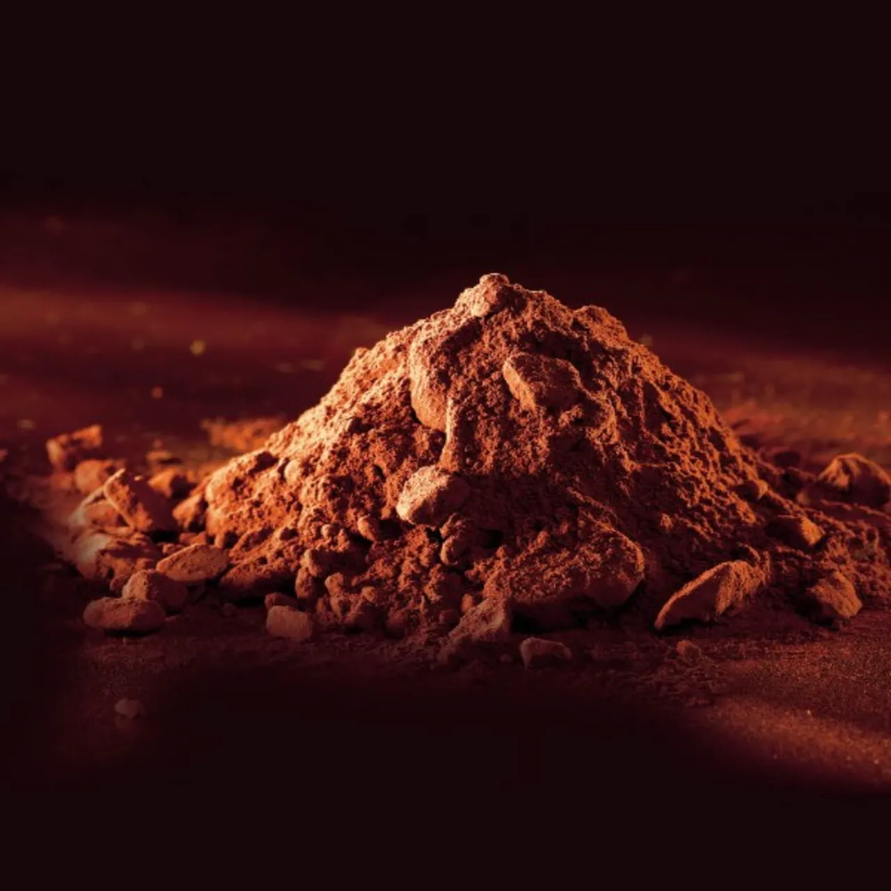 Kakavos milteliai CT CP1 Powder - Puratos